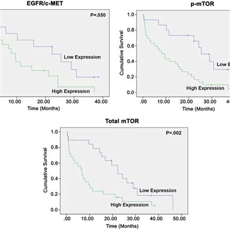 Kaplanmeier Survival Analyses Stratified By Stage Iiibiv Nsclc