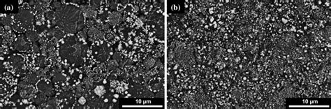 Higher Magnification Bse Sem Images Showing The Details Of The I Phase