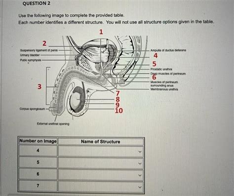 Solved Use The Following Image To Complete The Provided Chegg
