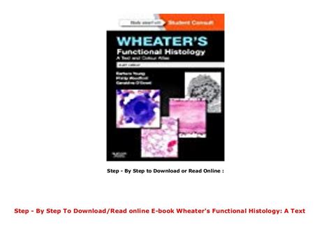 E Book Wheaters Functional Histology A Text And Colour Atlas Paperback