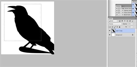 Photoshop How To Crop A Picture Within A Layer Initial Bounding