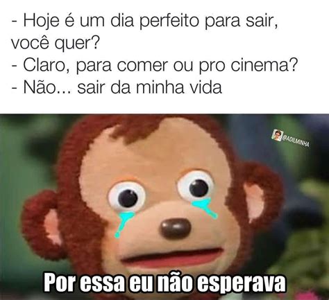 Por Que Você Deveria Andar Comigo Porque Vou Te Enviar Memes E Vou Te Fazer Feliz E Vou Te