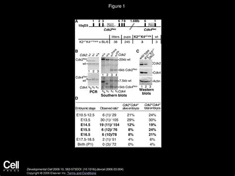 Volume 10 Issue 5 Pages May 2006 Ppt Download
