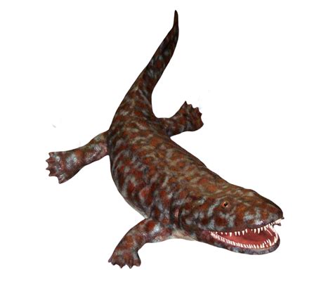 Devonian Amphibians