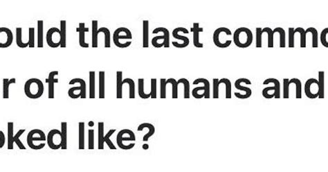 Ants And Human Common Ancestor Album On Imgur