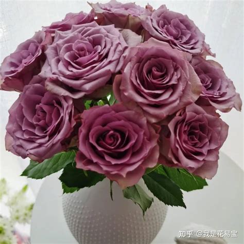 18种紫色玫瑰 七夕火爆乌梅子酱花束 知乎