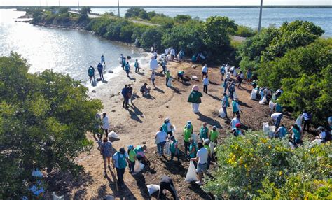 Recolectan 79 Toneladas De Basura En Playas Y Manglares De Yucatán