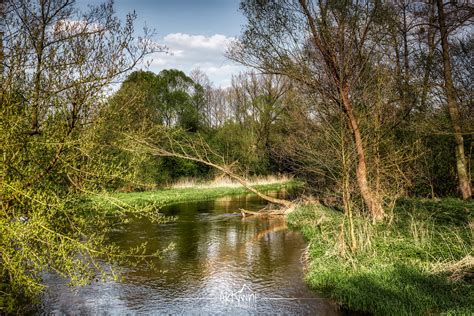 Bolimowski Park Krajobrazowy Oaza zieleni między Warszawą a Łodzią