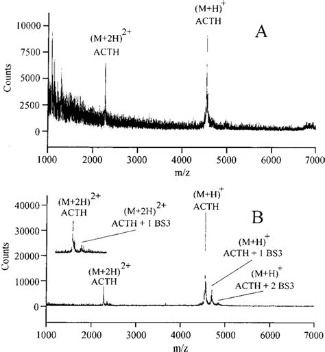 Maldi Tof Mass Spectra Of Acth Bound By The Direct Method A And The