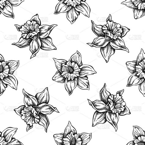 水仙花黑白图片四方连续纹样复活节植物群春天艺术品复古绘制花