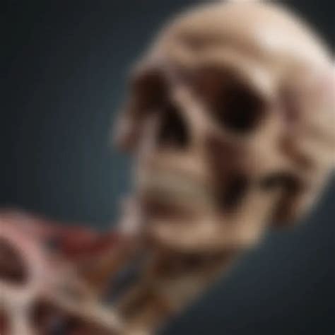 Understanding Life Expectancy In Metastatic Bone Cancer