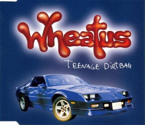 Five Good Covers Teenage Dirtbag Wheatus Cover Me