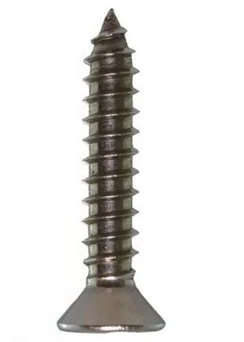 Full Threaded Round Ss Self Tapping Screw Diameter 2 Mm Size 38 Mm