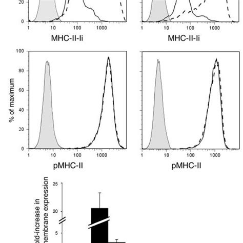 Pmhc Ii And Mhc Ii Ii Internalize With Similar Kinetics In Both Download Scientific Diagram