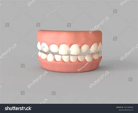 치아를 보여주는 인간 턱의 3d 렌더링 스톡 일러스트 2327360401 Shutterstock