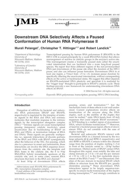 Pdf Downstream Dna Selectively Affects A Paused Conformation