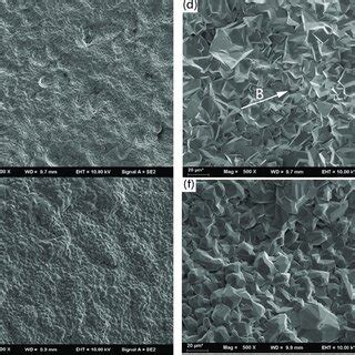 SEM Surface Morphologies Of The Alloys Exposed To Wt NaCl Download Scientific Diagram