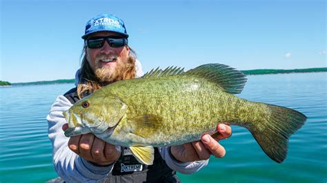 Looking For Giant Smallmouth Bass In Northern Michigan Bed Fishing