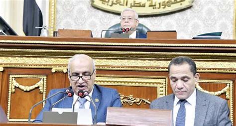 النواب يوافق مبدئيا على مشروع قانون نقابة التكنولوجيين الأهرام اليومي