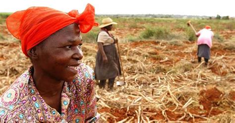 Le Fida Onu Crée Un Fonds Pour Aider La Ruralité Et Lagriculture En