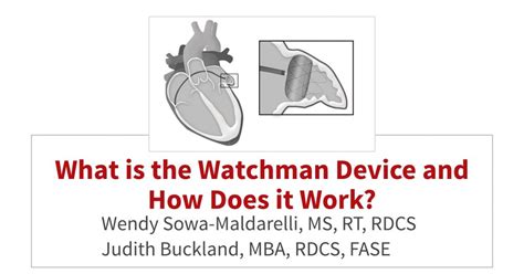 What Is The Watchman Device And How Does It Work Cardioserv