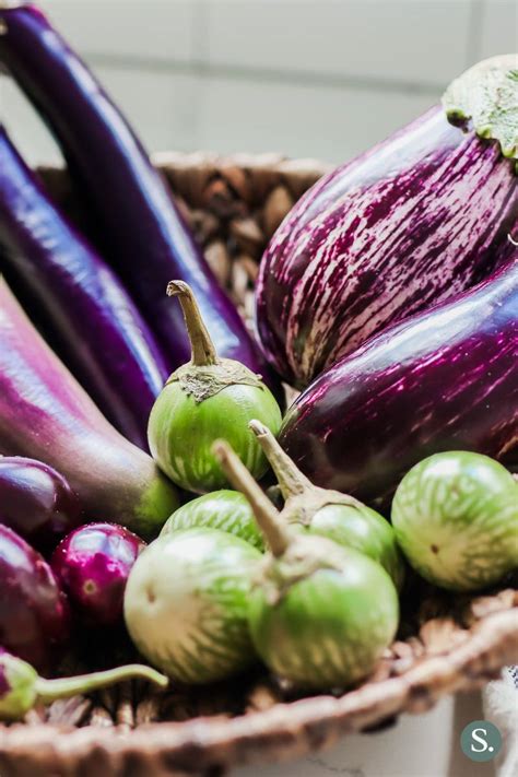 A Guide To Thai Eggplant Healthy Living Sweet New Roots