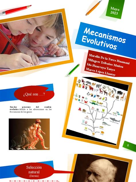 Mecanismos Evolutivos Resumen Pdf Gene Evolución
