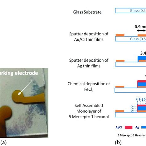 Fabrication Of The Electrodes A Photograph Of The Substrate With The