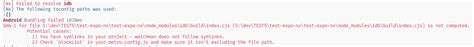 Installing Firebase In Nx Monorepo And Using It In Expo App Error