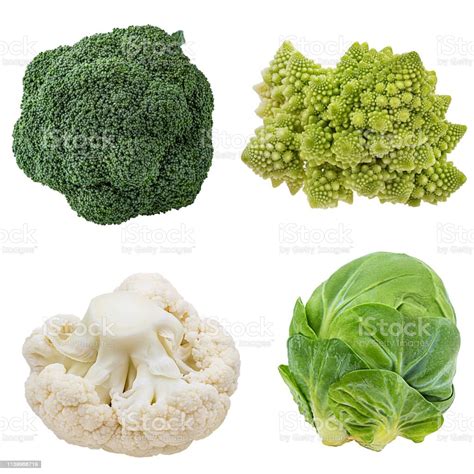 브로콜리 콜 리 플라워 로마에 코 브뤼셀 클리핑 패스와 흰색 배경에 고립 흰색 배경에 대한 스톡 사진 및 기타 이미지 흰색 배경 브로콜리 꽃 양배추 Istock