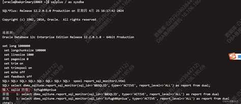 Oracle Sql Monitor简单使用说明