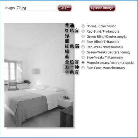 Coblis 色盲模拟 体验色盲和色弱是什么感觉 西红柿