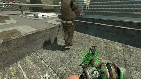 Can Anyone Help Methis Happens With Some Npcs R Gmod