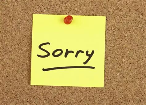 Apologizing When You Did Nothing Wrong Quotes Quran Mualim