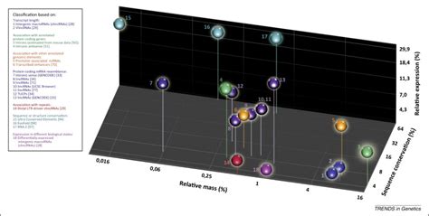 The Landscape Of Long Noncoding Rna Classification Trends In Genetics