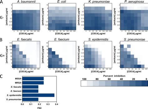 Chenodeoxycholic Acid Amikacin Combination Enhances Eradication Of Staphylococcus Aureus Pmc