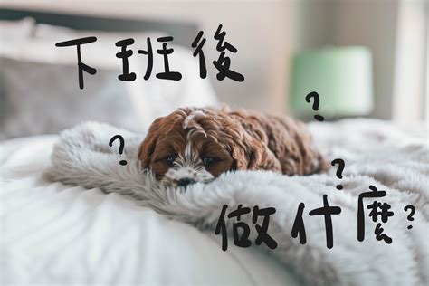 輕易豐盛學苑 下班後做什麼你是否也被自己的習慣套牢了