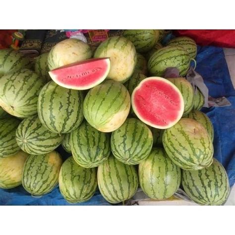 Jual Cod 15 Benih Semangka Merah Beras F1 Ber Biji Buah Lebat