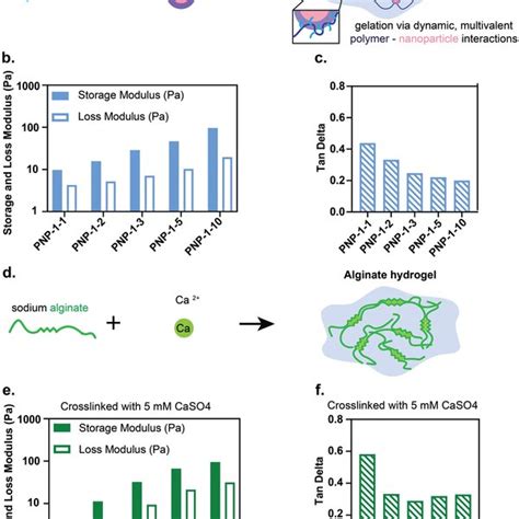 Two Distinct Non‐covalently Cross‐linked Hydrogels Have Tunable