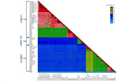Pairwise Identity Matrix Generated From Cbsv Partial P1 Gene Sequences