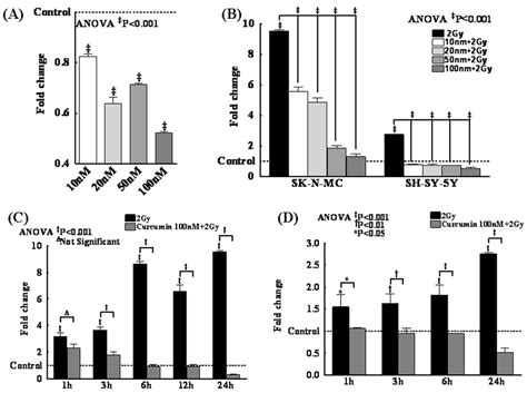 Curcumin regulates low LET γ radiation induced NFκB dependent
