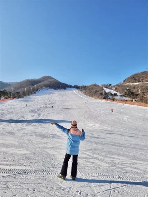 2023 2024 전국 스키장 개장일 용평 지산포레스트 시즌권 네이버 블로그