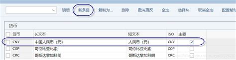 Sap S4hana货币类型currency Types和货币currency配置sap 货币类型 10 Csdn博客