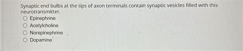 Solved Synaptic End Bulbs At The Tips Of Axon Terminals