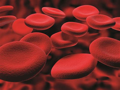 Blood HealthScope Magazine