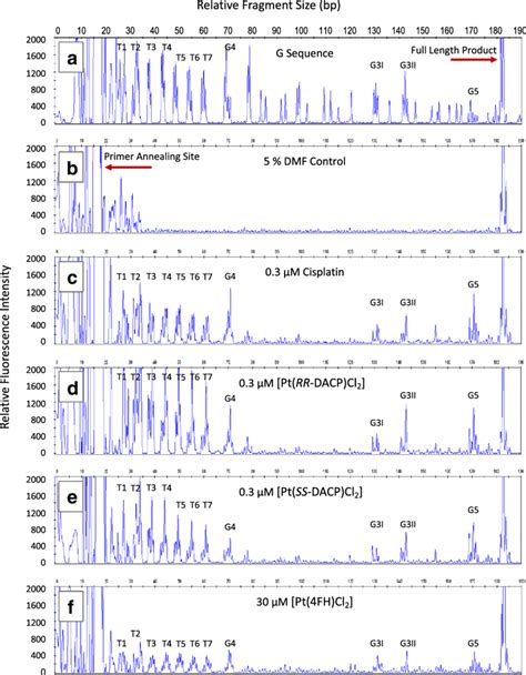 Electropherogram Traces Showing Dna Damage Induced By Cisplatin And