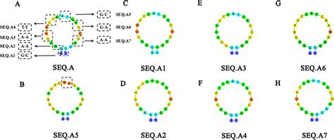 Secondary Structure Simulation And Base Binding Energy Analysis Of