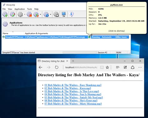 How To Start Simpleerver As A Windows Service 108201272008