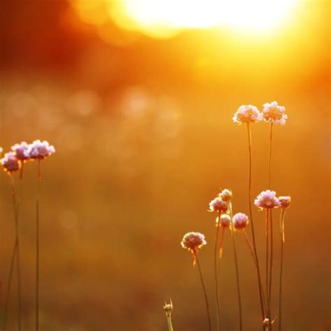 Séance Découverte Cécilia Bourgois