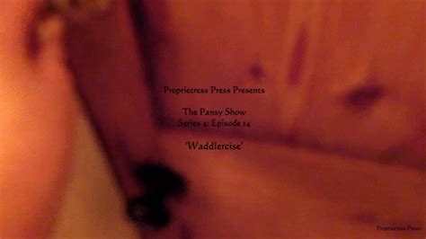 Proprietress Press Marital Nappy Diaper Therapy Plastics Sex